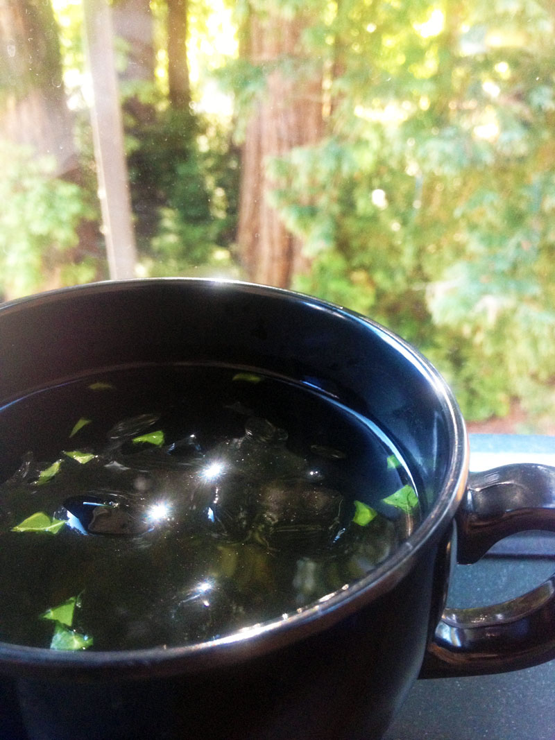 CookFiction - Ent-Draught